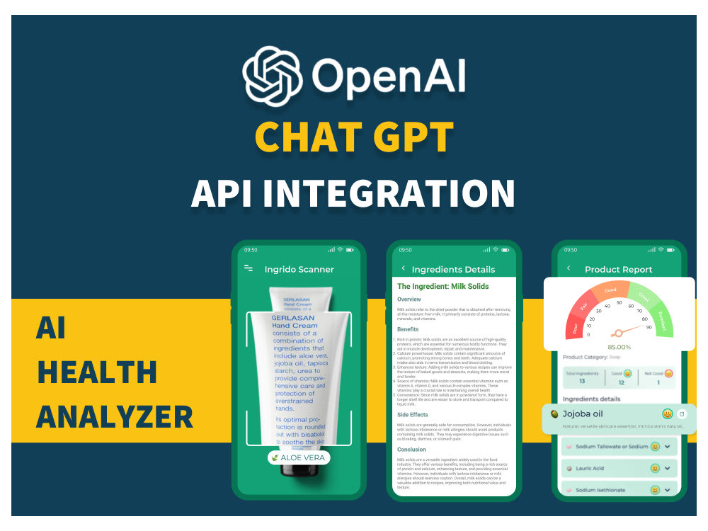 Chatgpt Api Integration Open Ai Developer Using Fullstack Development