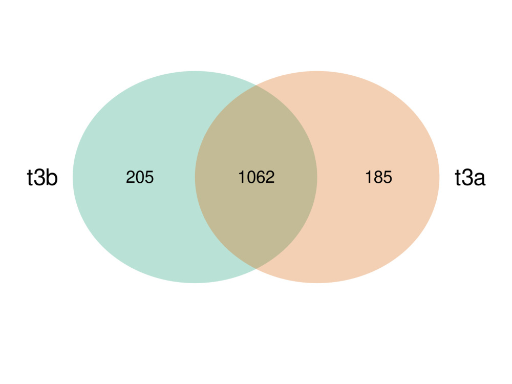 Taxonomic And Functional Profiling From Amplicon Sequencing Data Upwork