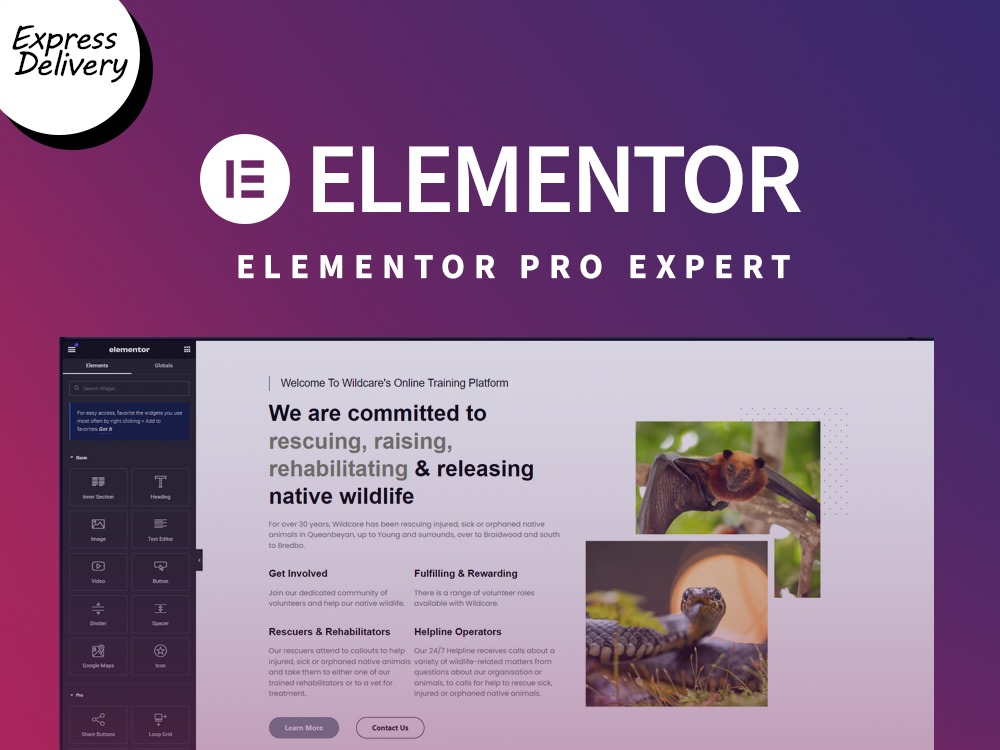Elementor Expert, Elementor Pro Expert, Elementor Landing Page Expert ...