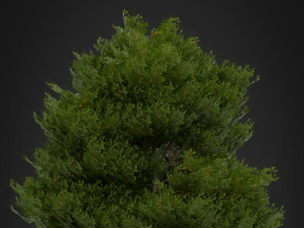 Game ready Foliage asset pack (Unity,Unreal,Blend...) | Upwork