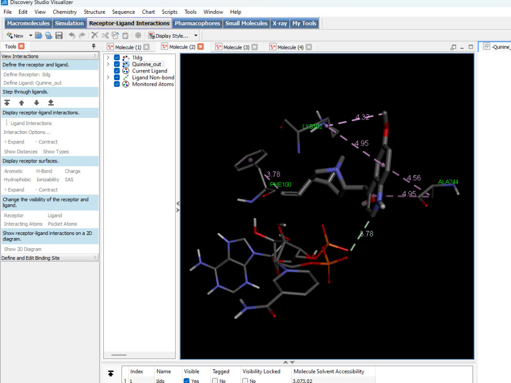 Any In-silico studies (molecular docking) projects using PyRx and ...