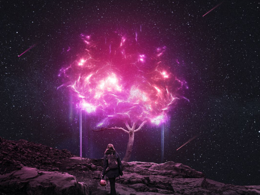 Impactful graphic designs that leave a lasting impression. | Upwork