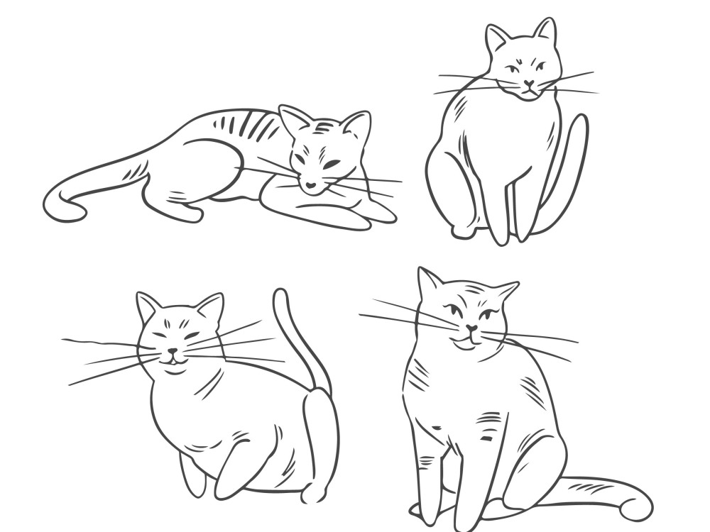 A custom clean line art illustration! | Upwork