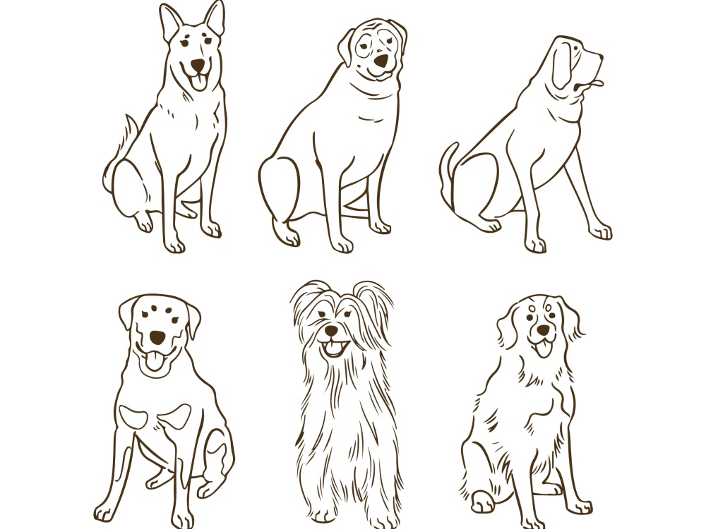 A custom clean line art illustration! | Upwork