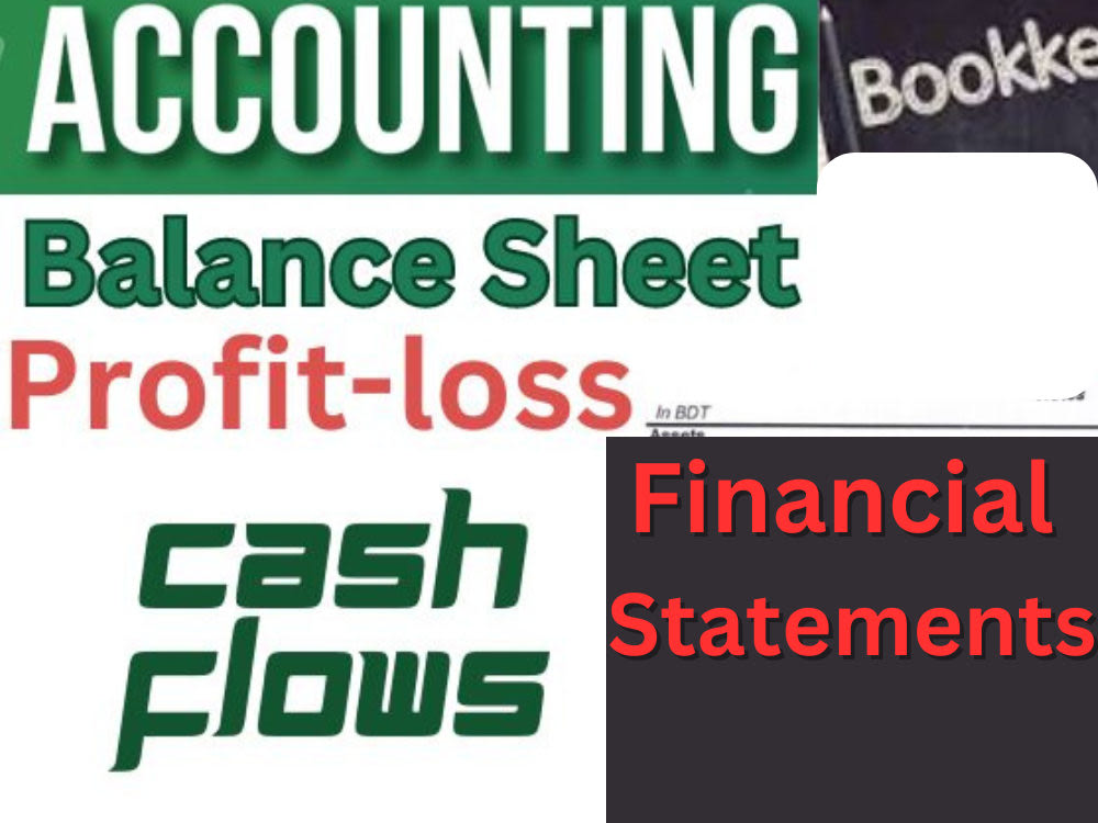 Professional financial statements, profit-loss, balance sheet & cash ...
