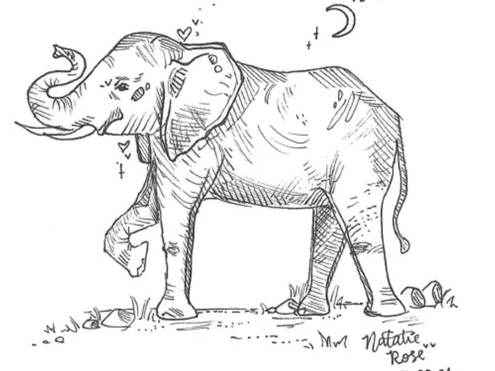 A unique ink drawing of any animal or creature of your choice | Upwork