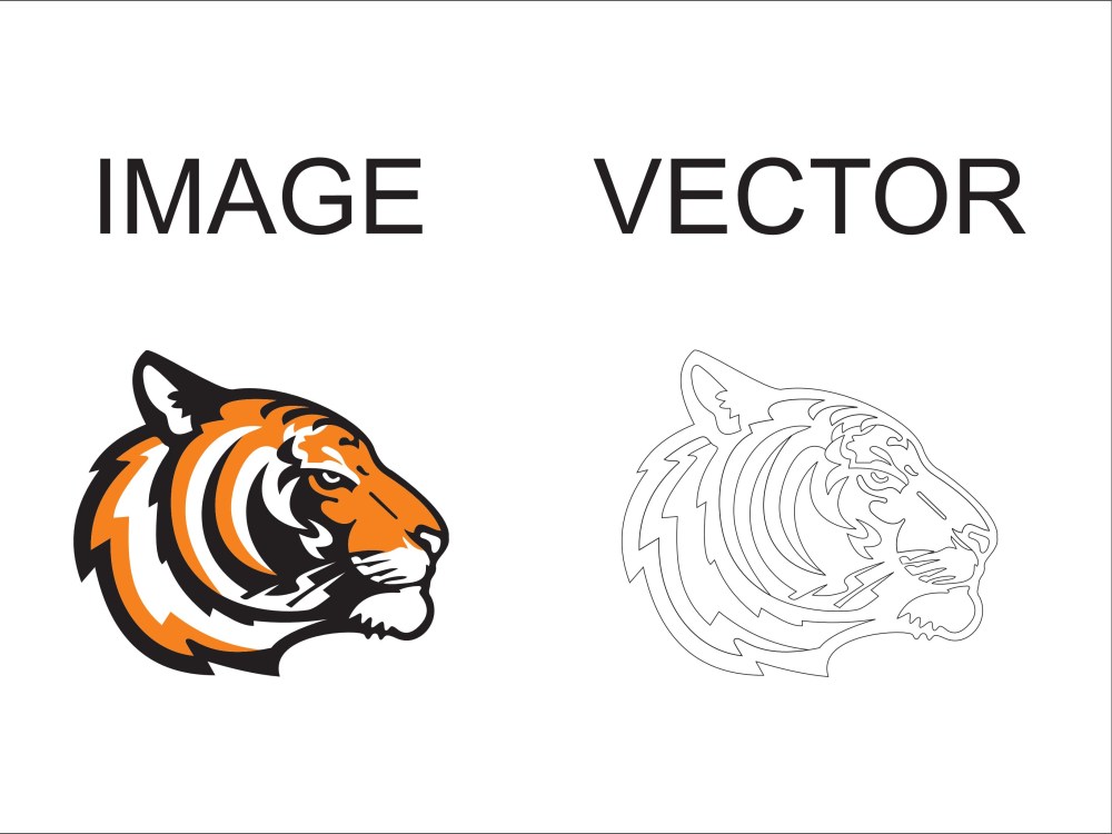 A fantastic and precise vector format for your image | Upwork