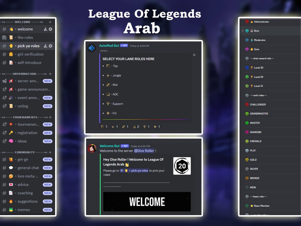 A best custom discord server within 24 hours | Upwork