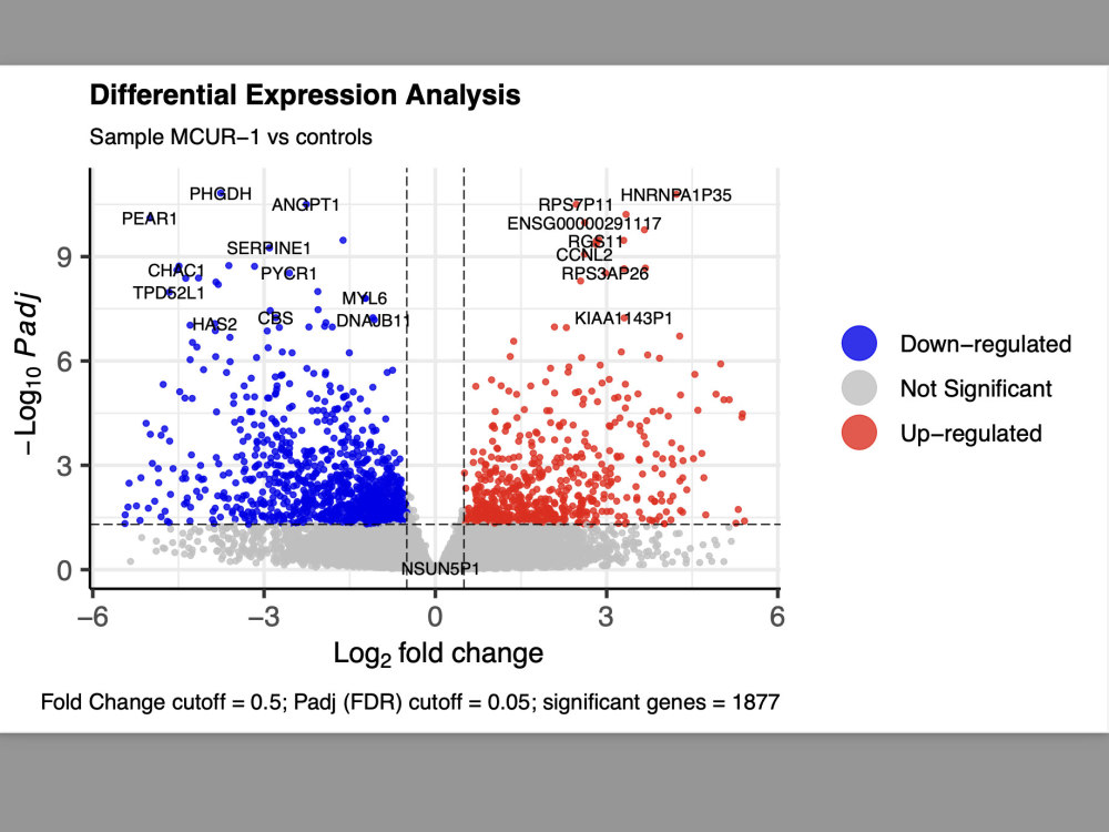 Bulk RNA-sequencing data analysis | Upwork