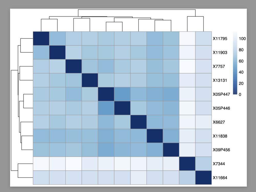 Bulk RNA-sequencing data analysis | Upwork