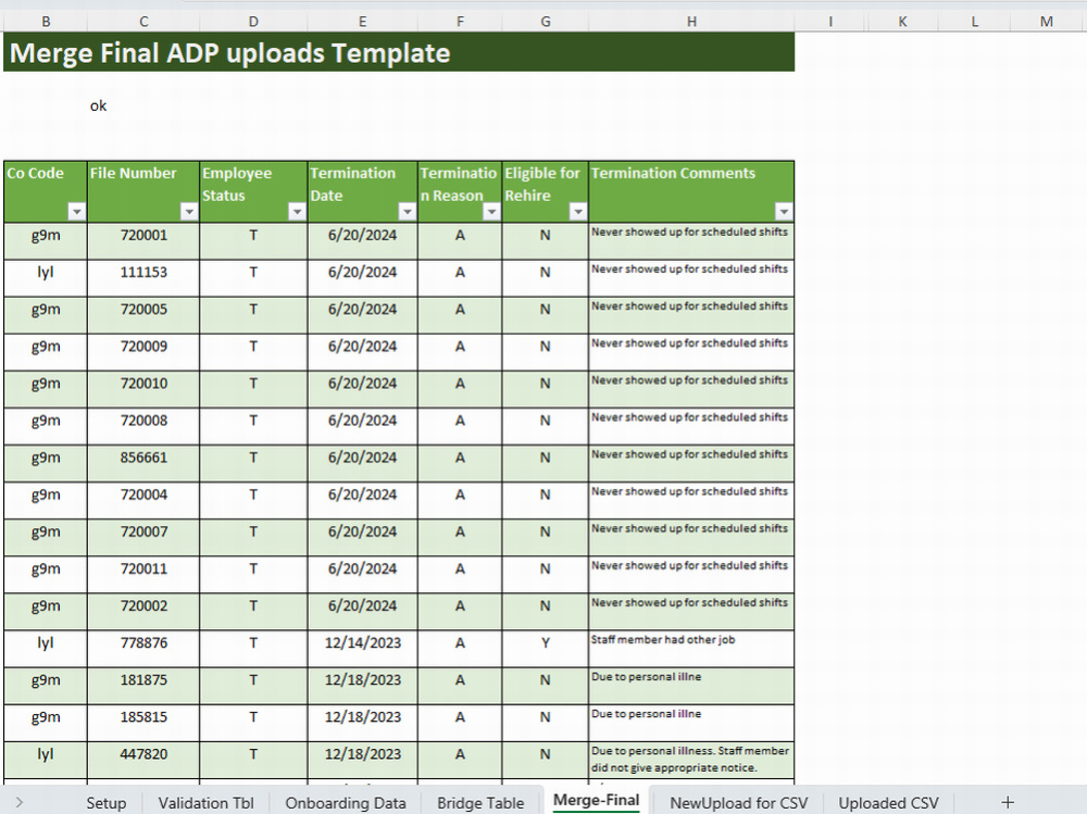 A custom built file for ADP WFN payroll and new employee hire uploads ...