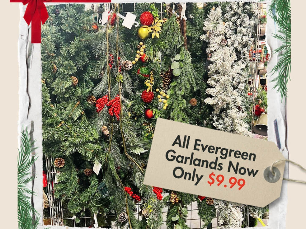 A versatile virtual assistant with a wide range of skills and capabilities. | Upwork