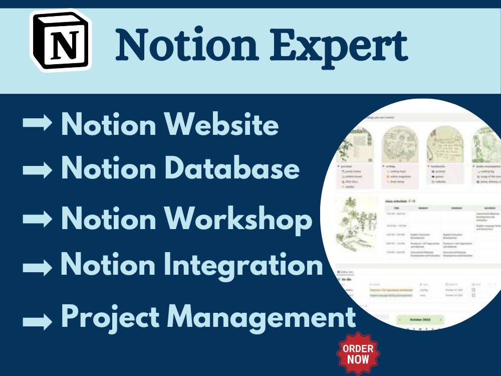 Notion, notion template, notion virtual assistant, notion expert database | Upwork