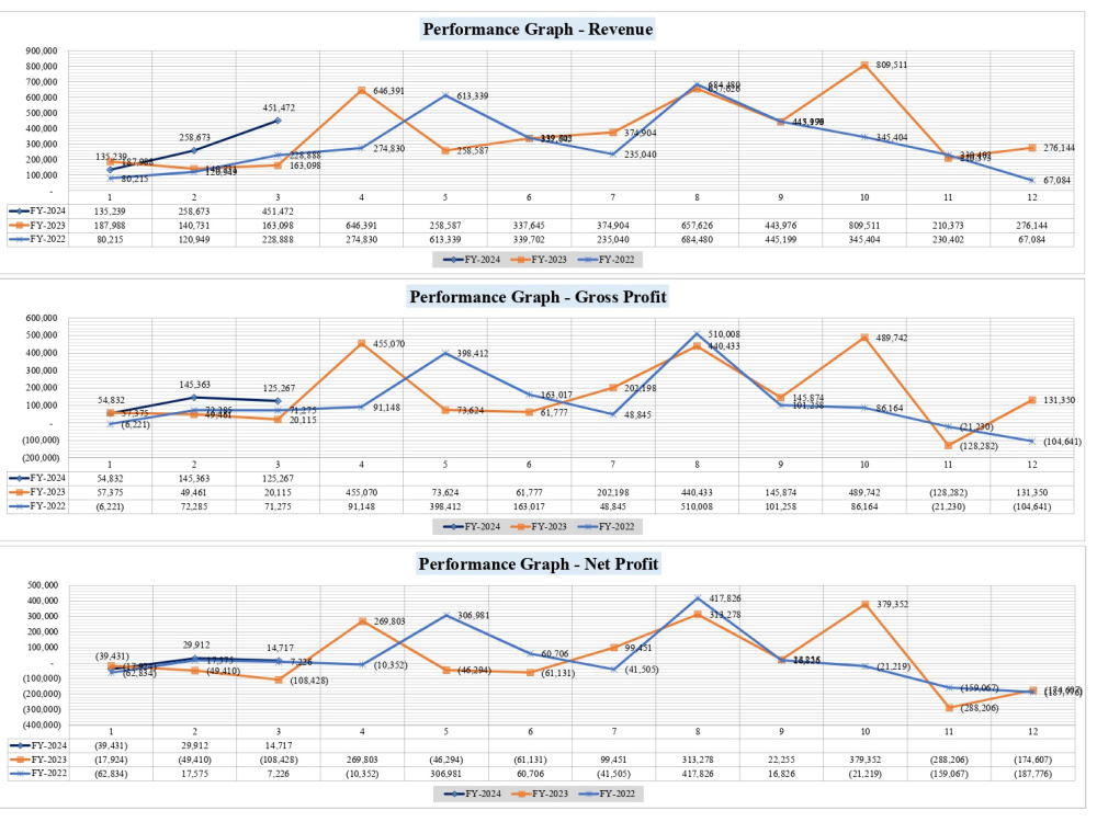 Dynamic & Robust Financial Model & Forecasting (Investor-Ready) | Upwork