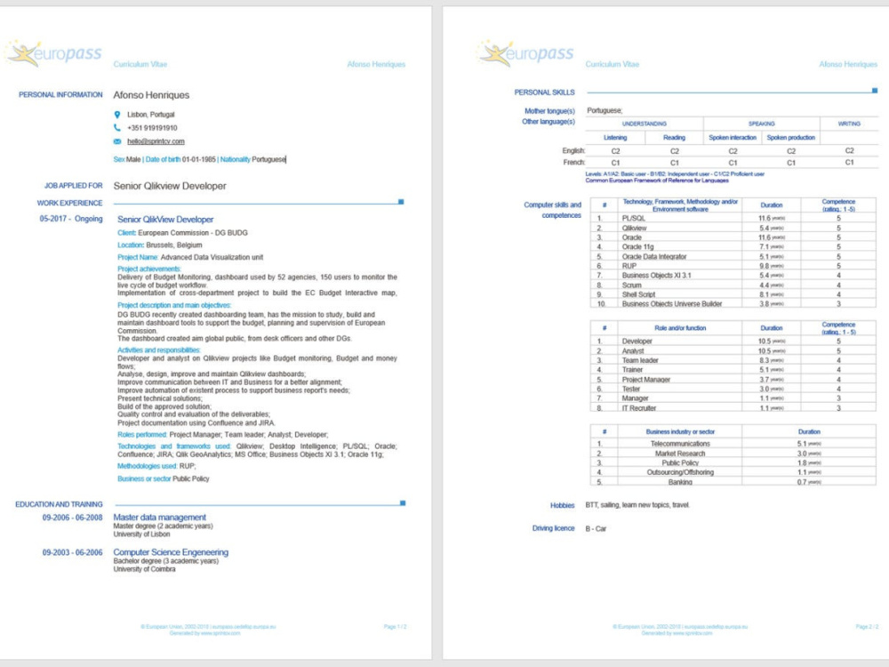 A professional European Format official europass Curriculum Vitae (CV ...