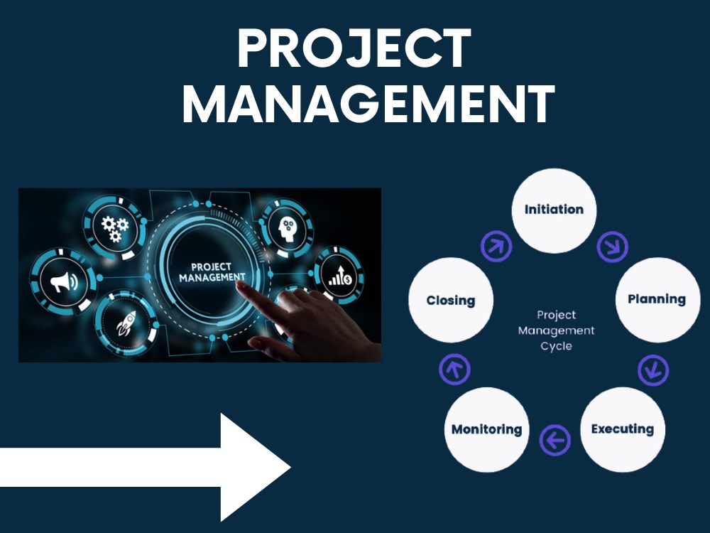 Asana Trello Clickup Notion And Monday Crm Project Management Expert Upwork 0876