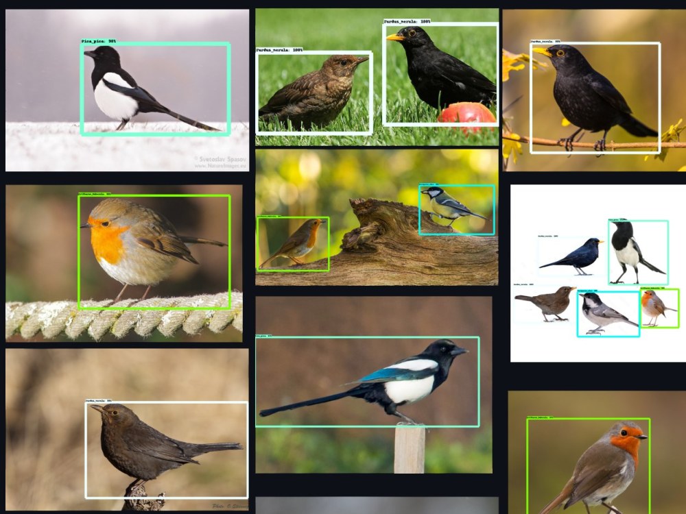 Custom Object Detection And Tracking Computer Vision Application Upwork 3684