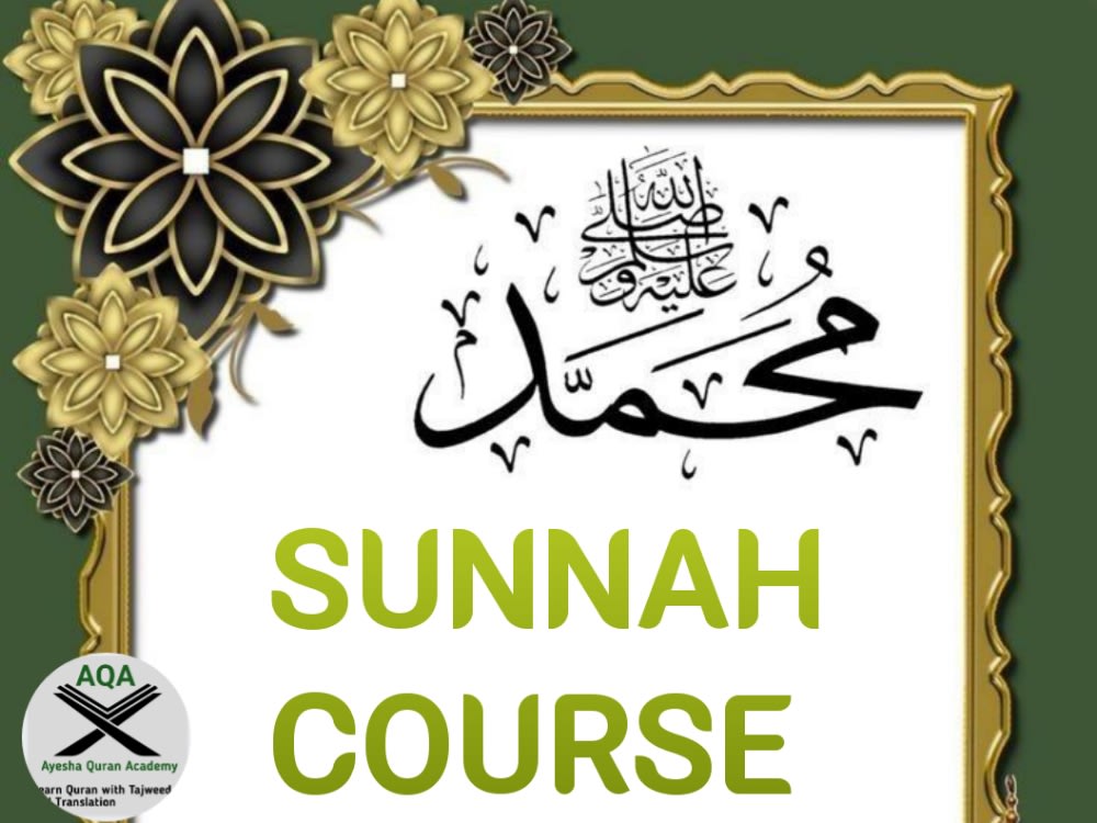 Studies in the Prophet Sunnah / Quran Tutor / Sunnah Course | Upwork