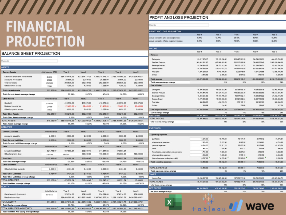 Prepare financial projections, forecast and analysis | Upwork