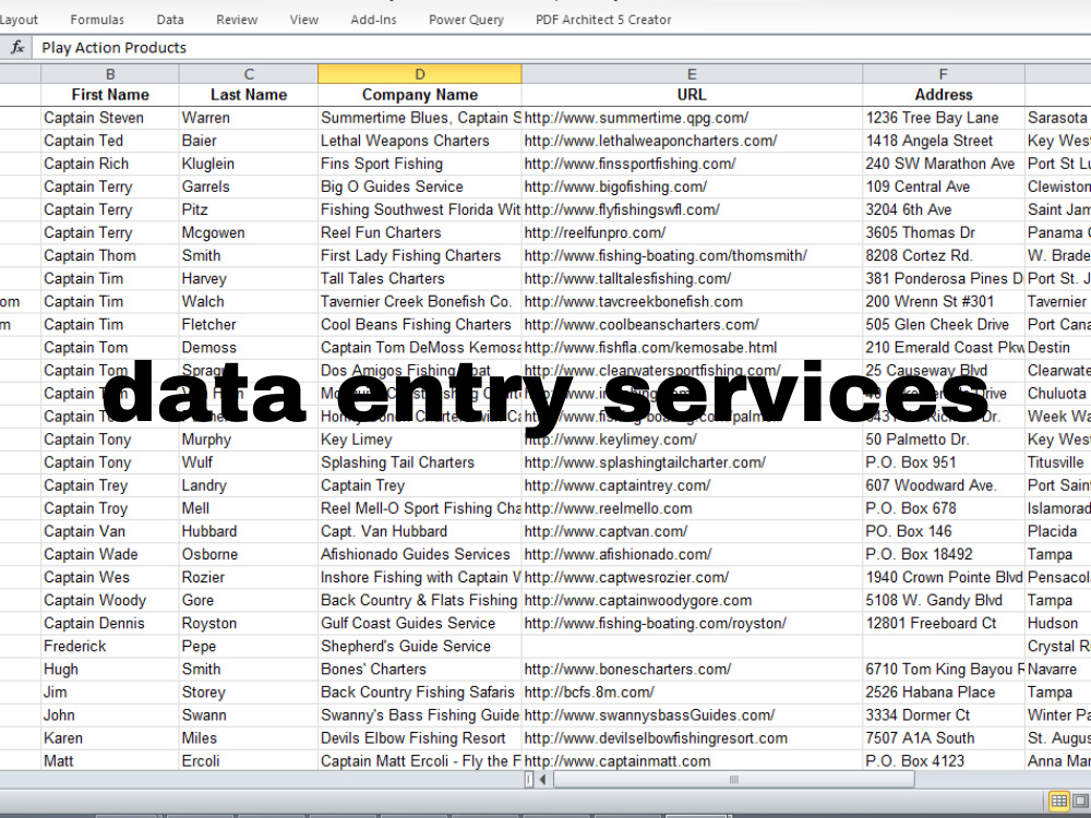 Data Entry, Data Mining, Data Collection, Excel Data entry Services | Upwork