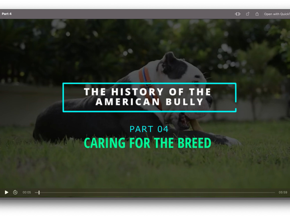 Explainer & eLearning Videos – Product or Software Training, Screencast | Upwork