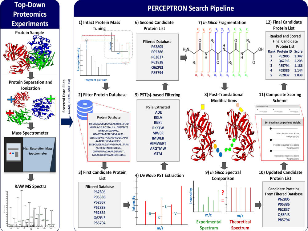 Bioinformatics Pipeline for Data Analysis | Upwork