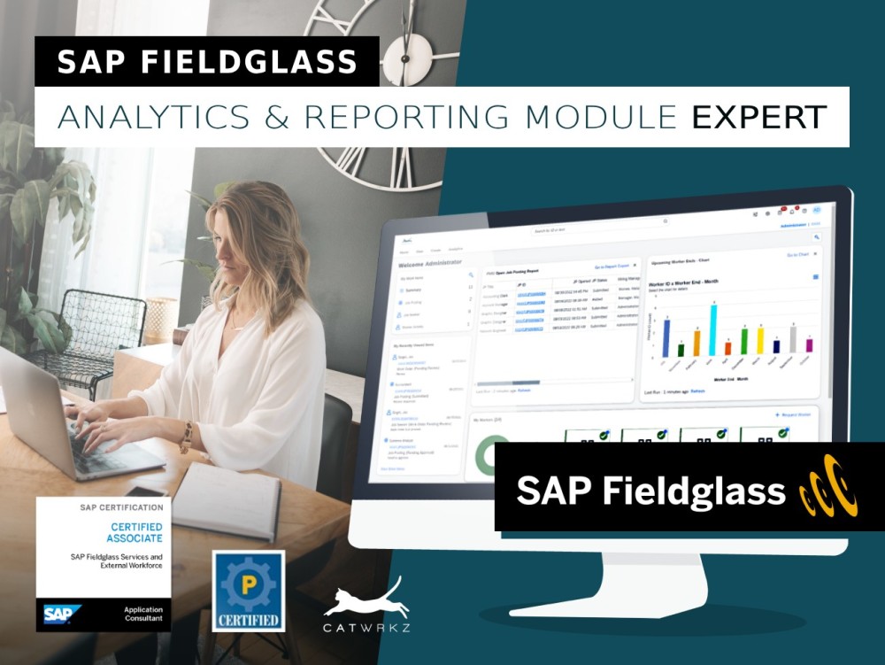 SAP Fieldglass custom Reporting, by Certified SAP Fieldglass Consultant ...
