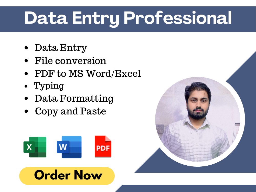 Swift data entry, copy-paste, manual typing, PDF to Word/Excel | Upwork