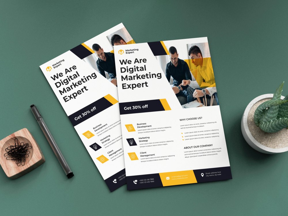 Professional ,government ,effective capability statement and flyer ...