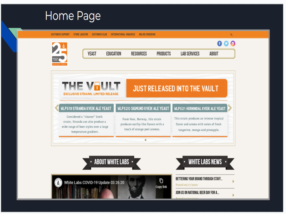 Brewing Innovation: A Full Stack Tale with White Labs | Upwork