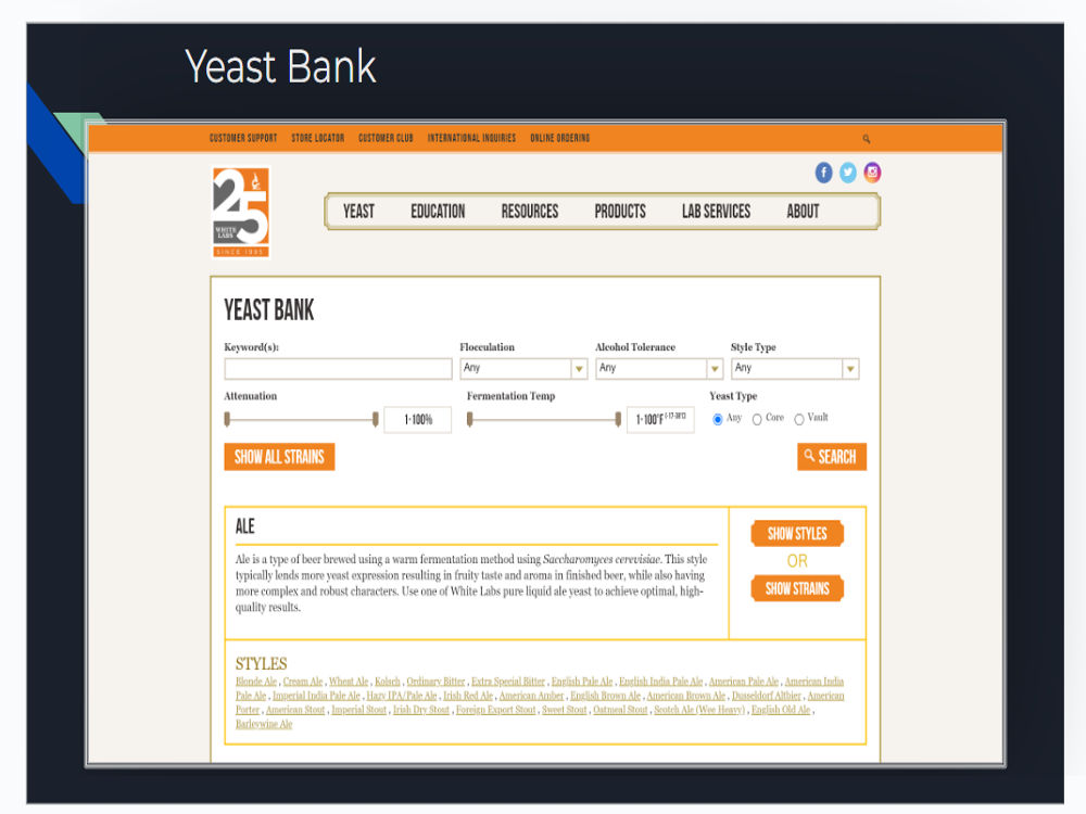 Brewing Innovation: A Full Stack Tale with White Labs | Upwork