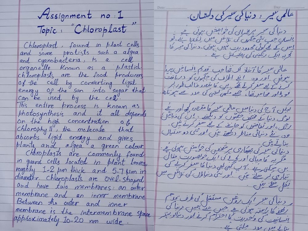 Handwriting assignments in Urdu and English | Upwork