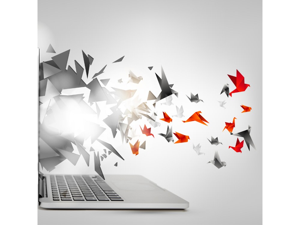 Professional Newsletter Design & Copywriting Using Adobe InDesign | Upwork