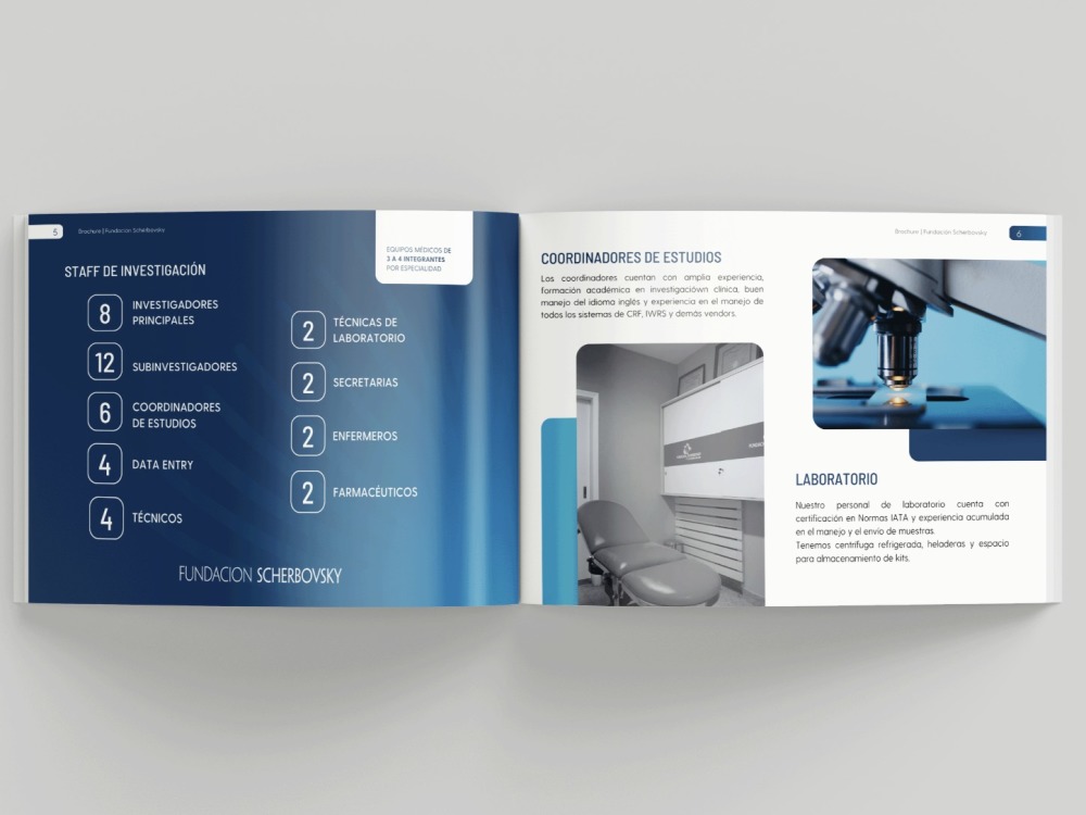 Creative and Engaging Informational Brochure Design | Upwork