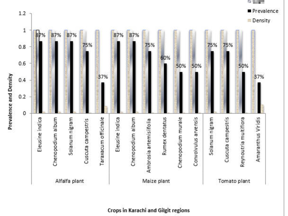 A visually appealing chart / graph | Upwork