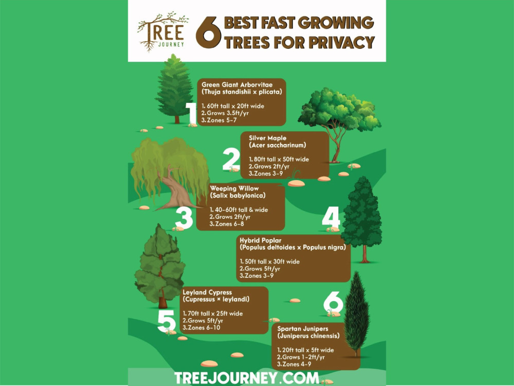 Unlock the power of infographics and seize your visual enlightenment ...