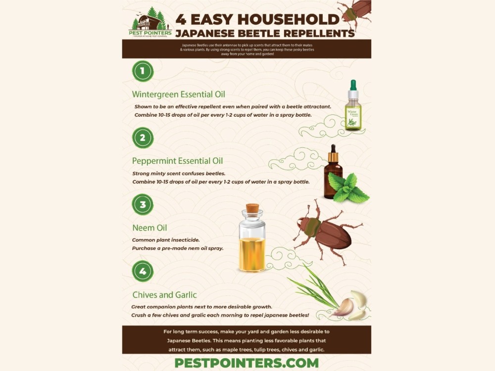 Unlock the power of infographics and seize your visual enlightenment ...