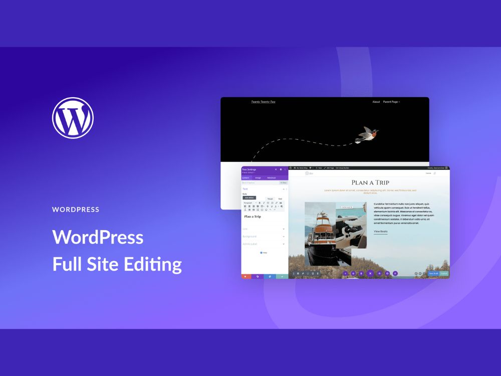 Setup/Install WordPress Theme, Plugin, and Demo import with customization. | Upwork