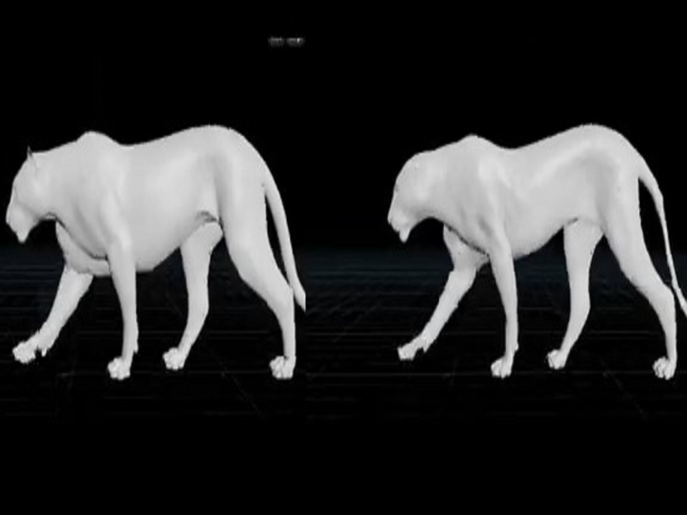 3d realistic animal animation, 3d unity animal design, 3d ue5 animal ...