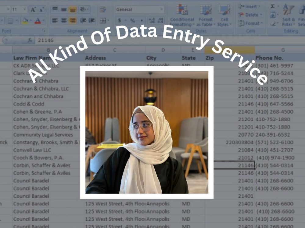 Professional data entry service, pdf to excel or Word convertion | Upwork
