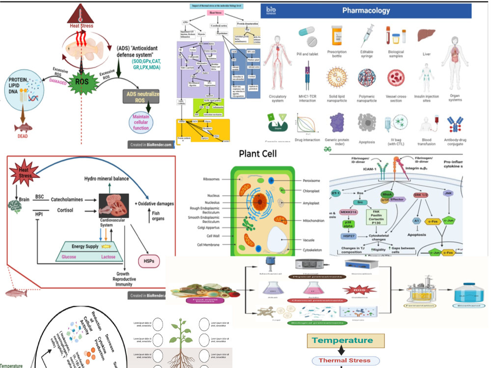 A visually appealing scientific diagrams on Biorender | Upwork