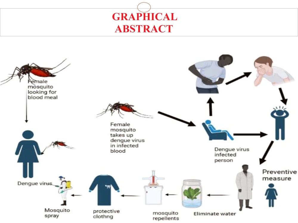 A visually appealing scientific diagrams on Biorender | Upwork
