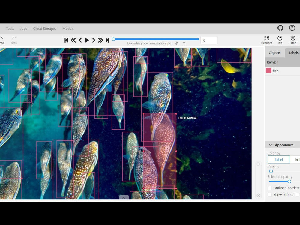 Image Data Annotations/Labeling/Bounding Box/Polygon Annotation AI ML model | Upwork