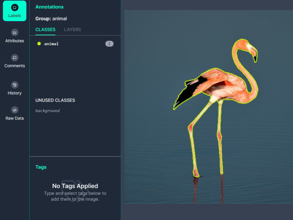 Image Data Annotations/Labeling/Bounding Box/Polygon Annotation AI ML model | Upwork