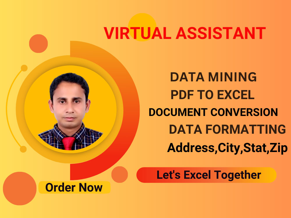 Excel data entry,web reseaech,copy paste,PDF to excel & Virtual Assistant | Upwork