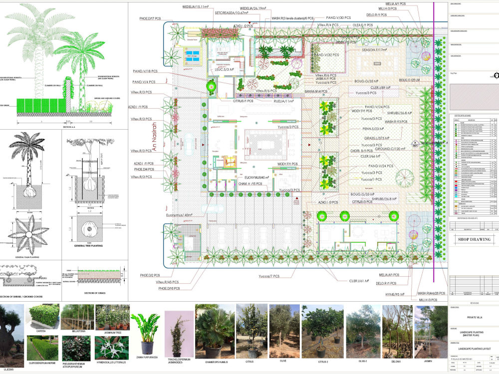 Landscape Planting Details Landscape Trees, Shrubs & Perennial Vines