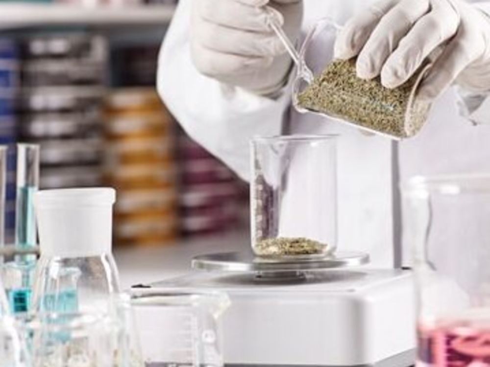 A plastic/polymer/chemical products formulations | Upwork