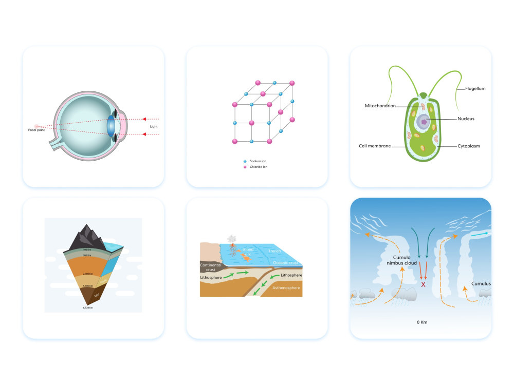 Design academic illustrations, scientific figures and medical ...