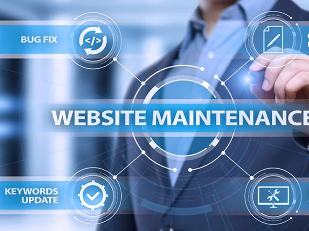 Comprehensive WordPress Website Maintenance | Upwork