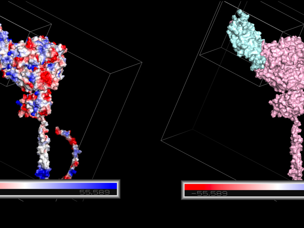 A fantastic redicted 3D protein models and their binding information ...